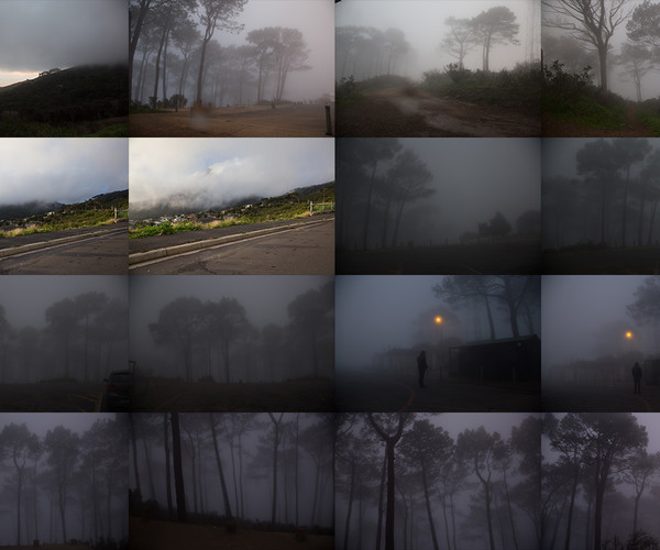 ArtStation - Misty Trees | Resources