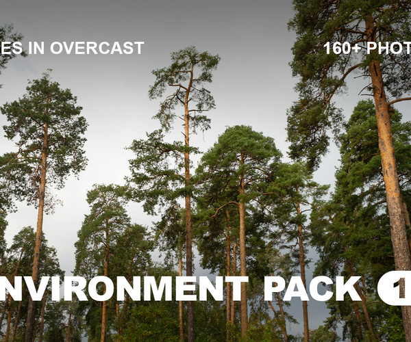 ArtStation - EP11 / Pines in Overcast — photo reference pack | Resources
