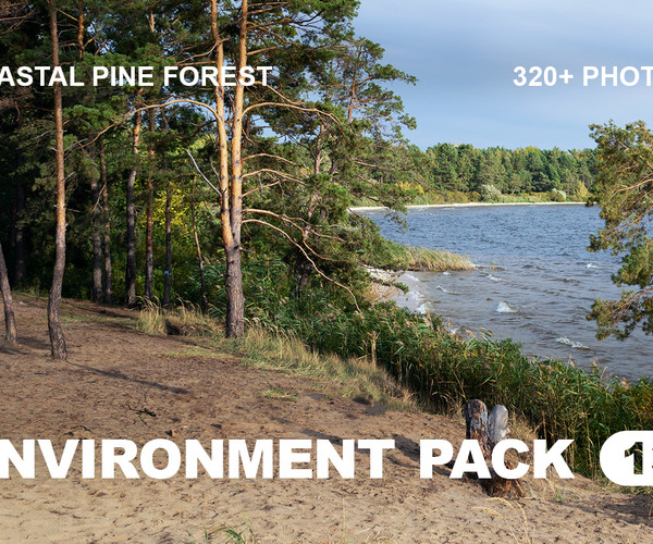 ArtStation - EP13 / Coastal Pine Forest / Reference pack | Resources