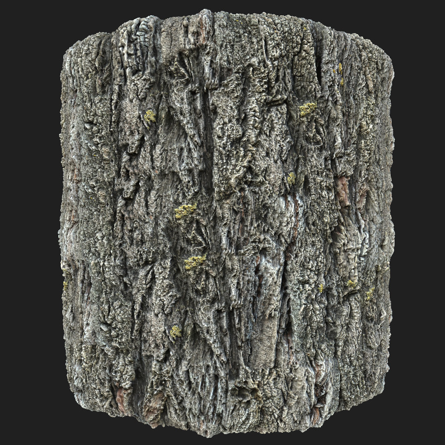ArtStation - Tree Bark 5 Material Pack | Game Assets