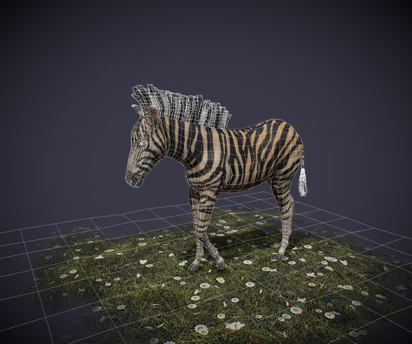 ArtStation - Zebra Game Ready Asset | Resources