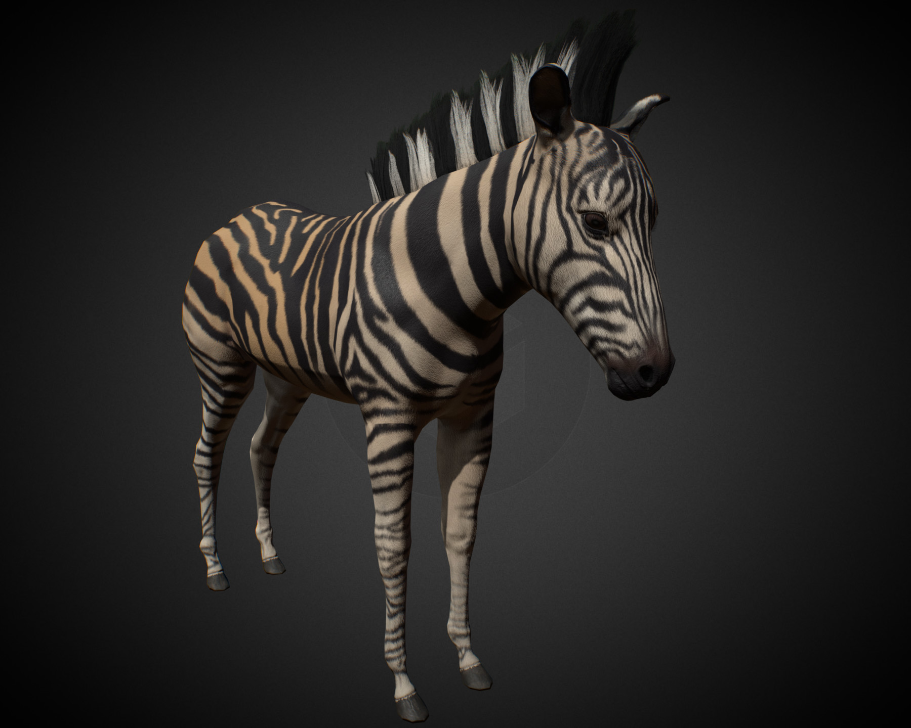 ArtStation - Zebra Game Ready Asset | Resources