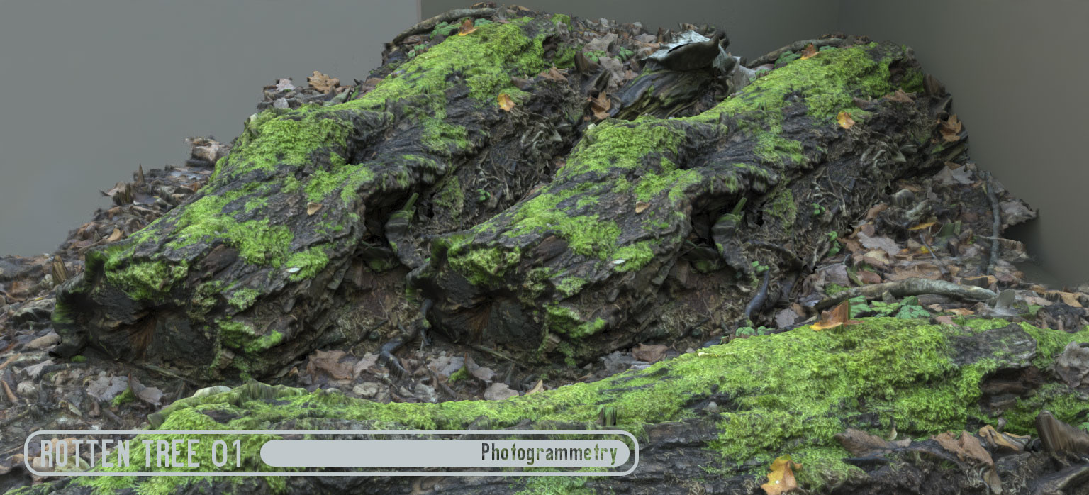 ArtStation - Rotten Tree 01 | Resources