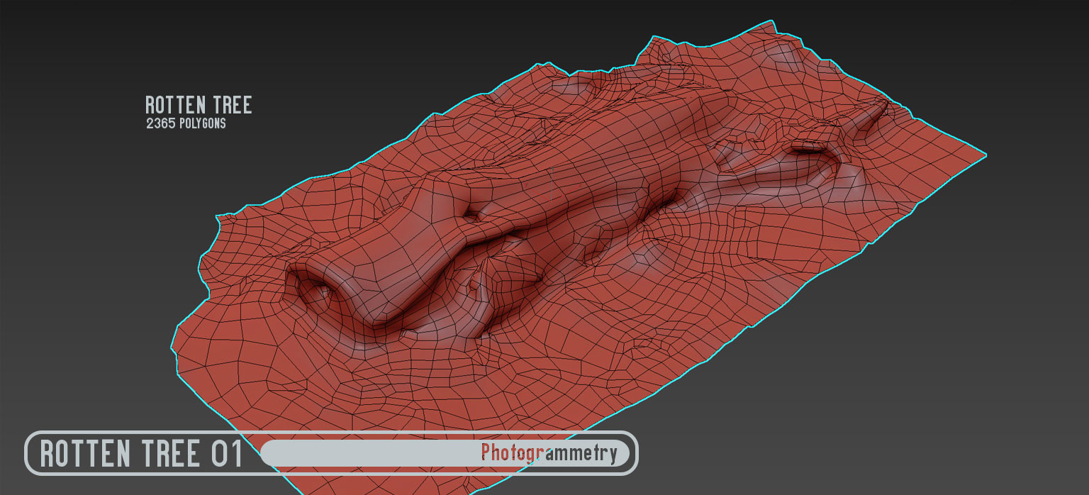 ArtStation - Rotten Tree 01 | Resources