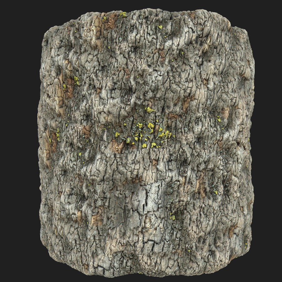 ArtStation - Tree Bark Material Pack | Game Assets