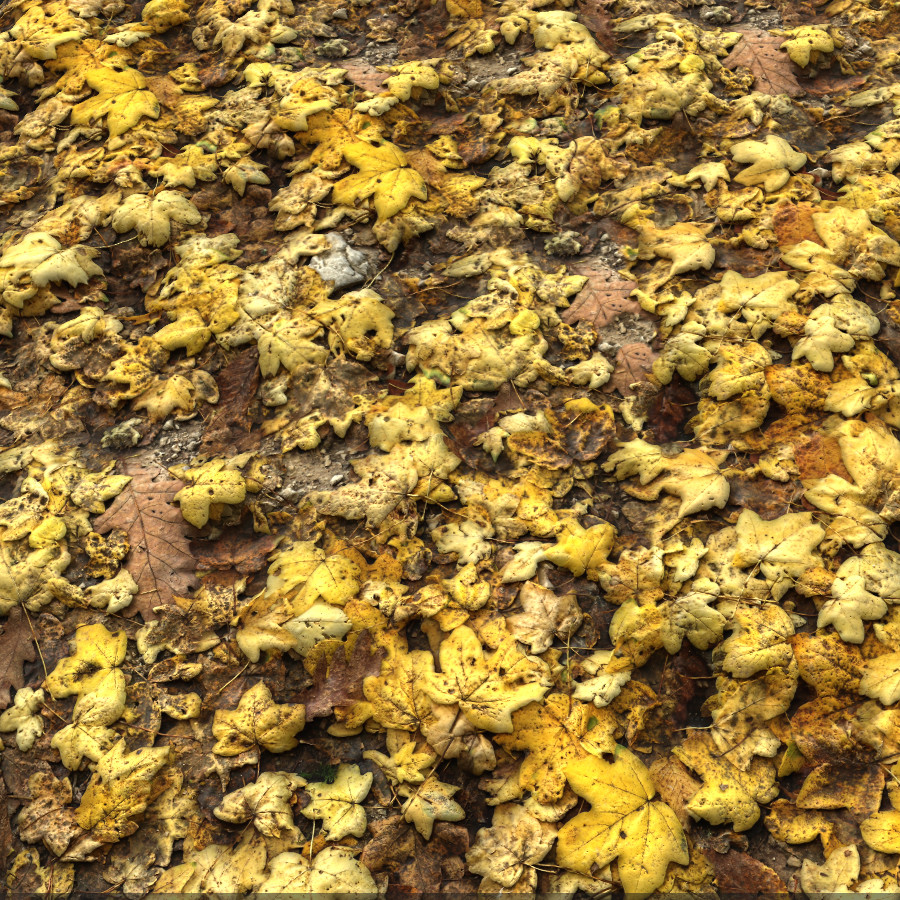 ArtStation - Forest Ground With Autumn Leaves Material Pack | Game Assets