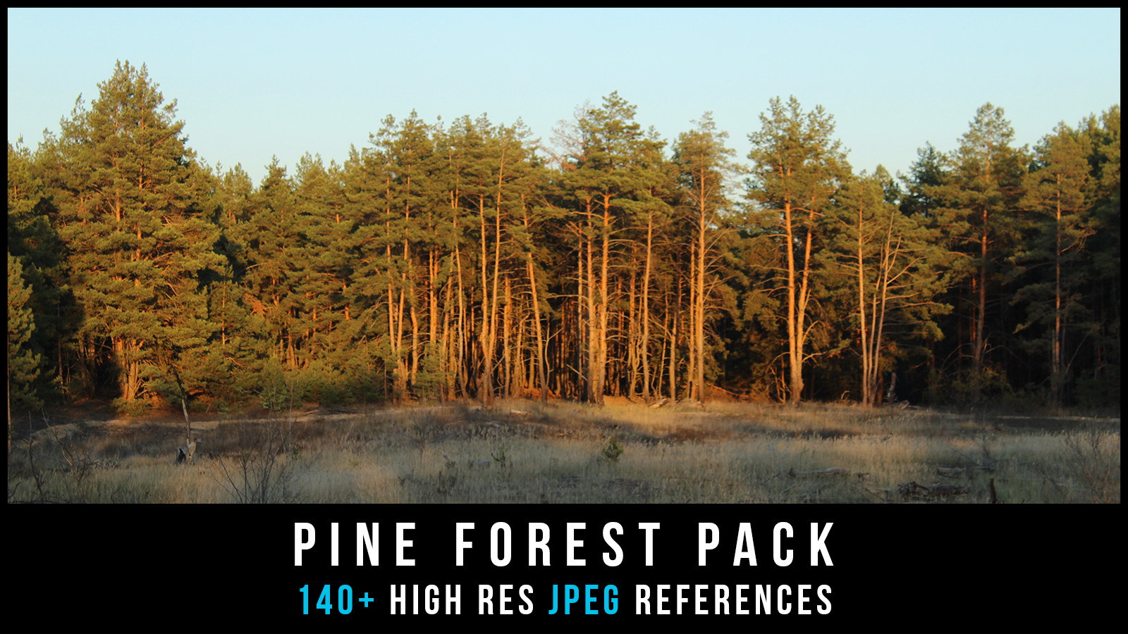 ArtStation - Pine Forest Pack | Resources