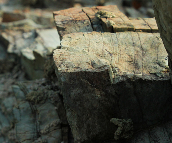 ArtStation - Scale Illusion | Resources