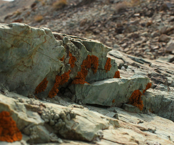 ArtStation - Scale Illusion | Resources