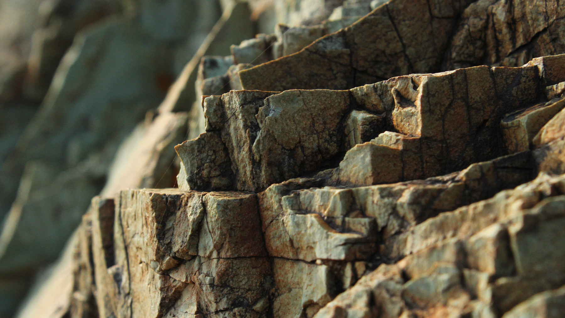 ArtStation - Scale Illusion | Resources