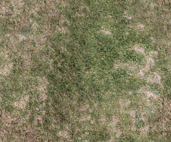 ArtStation - Pack of 30 Grass Seamless Textures in 4K | Resources