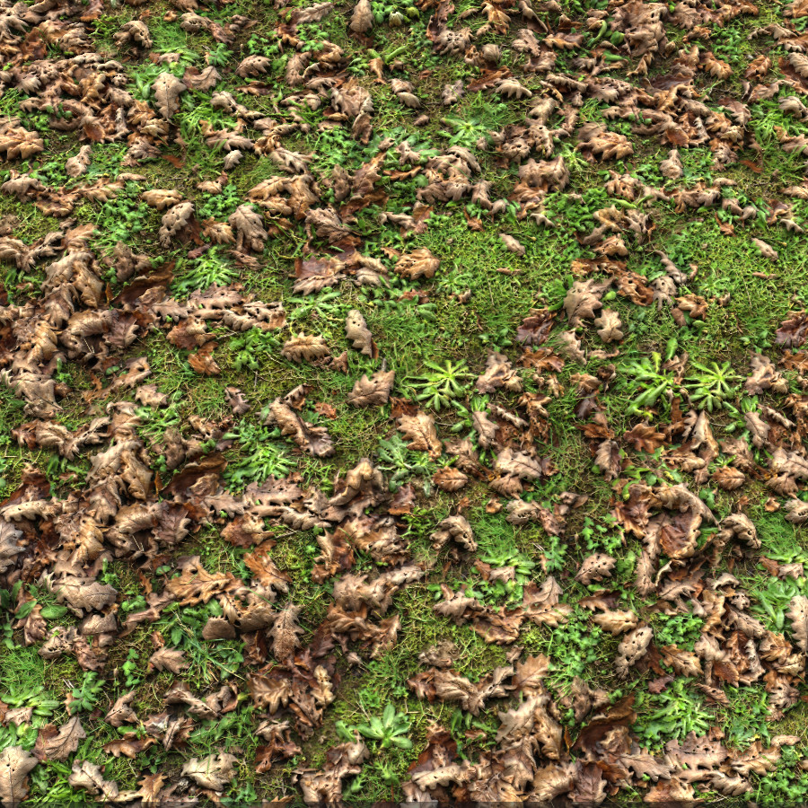 ArtStation - Ground With Grass And Leaves Material Pack | Game Assets