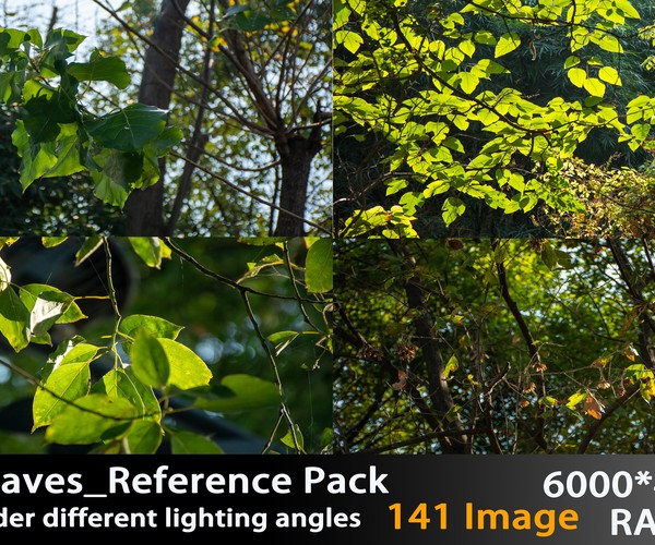 ArtStation - Light leaves_01_Reference Pack | Resources
