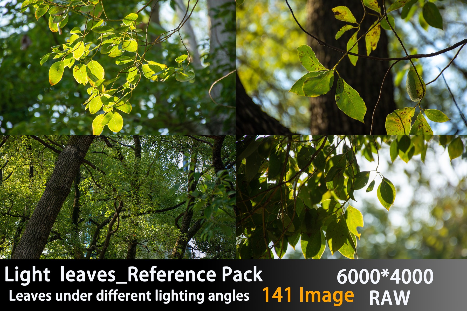 ArtStation - Light leaves_01_Reference Pack | Resources