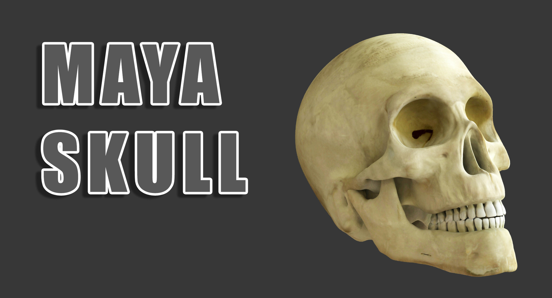 David Bittorf School - Maya Skull
