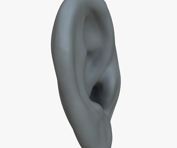 ArtStation - Maya Ear | Resources