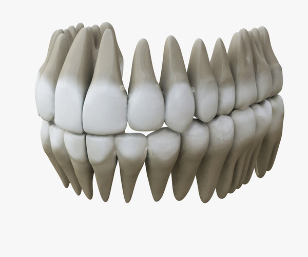 ArtStation - Male Mouth Rig | Resources