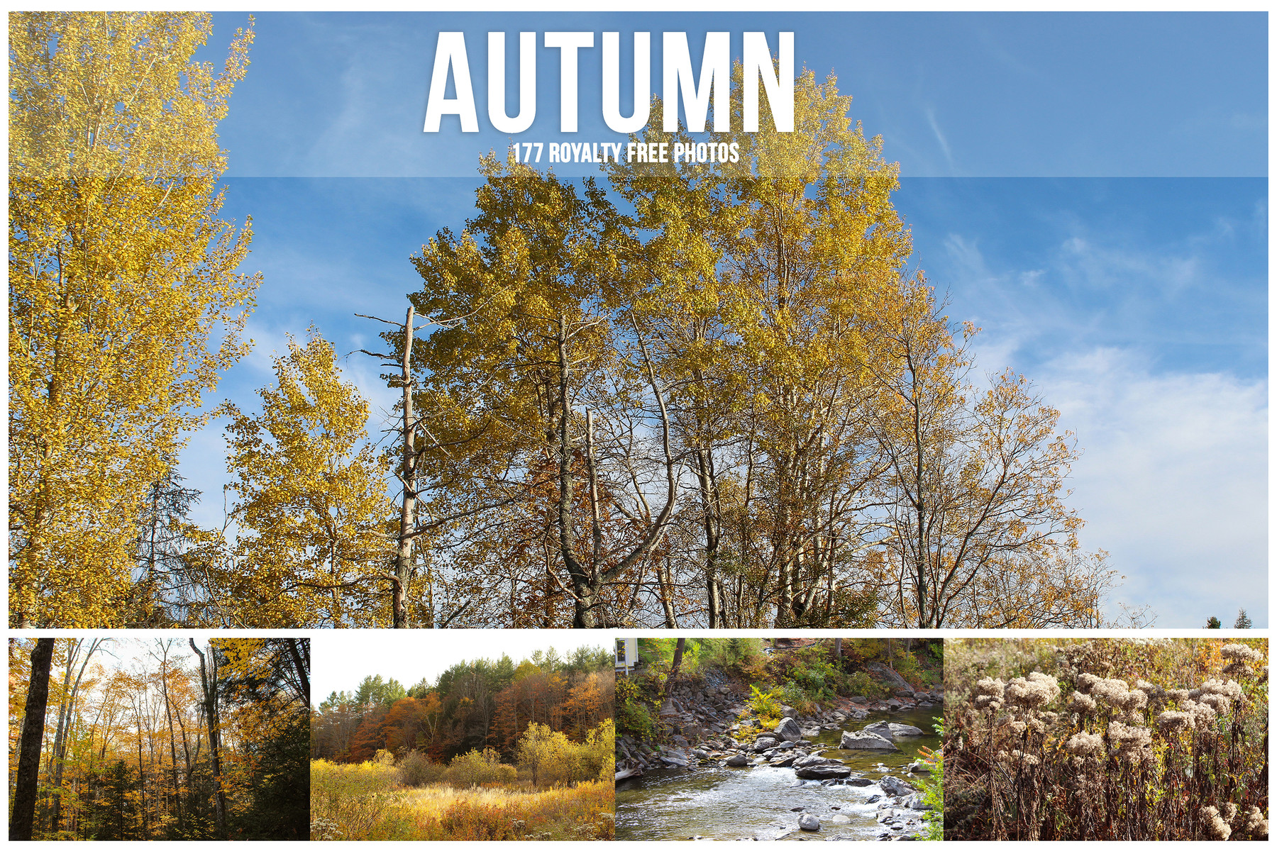 ArtStation - Autumn Photopack | Resources