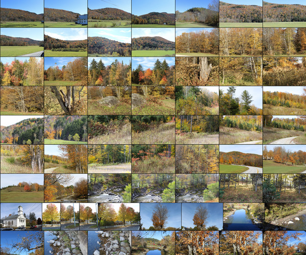 ArtStation - Autumn Photopack | Resources