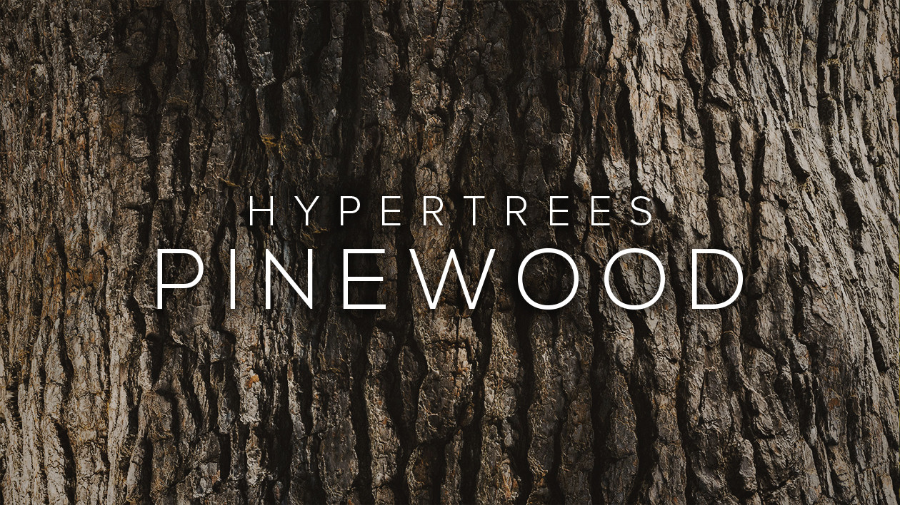 Art of Greg Zdunek - HyperTrees Pinewood Bark - 16K PBR Textures + 3D ...