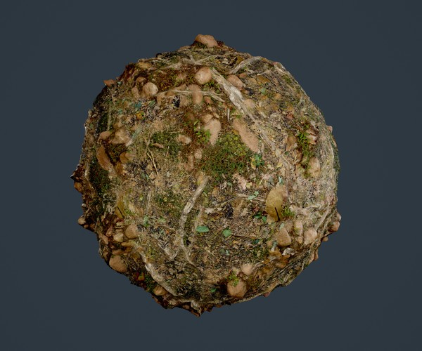 ArtStation - Forest Ground Tree Roots Seamless PBR Texture 07 | Game Assets