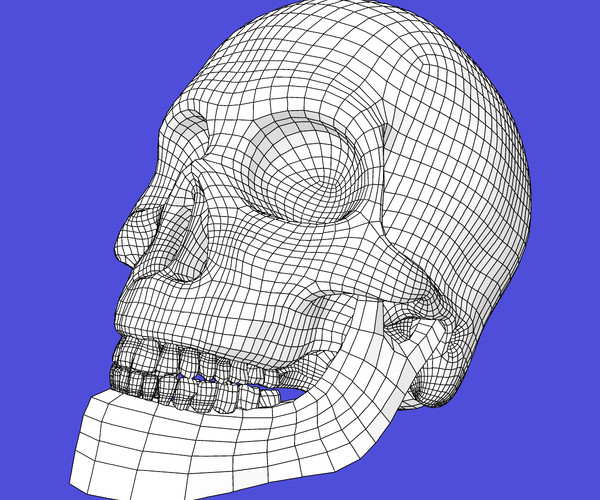ArtStation - Maya Rigged Skeleton | Resources