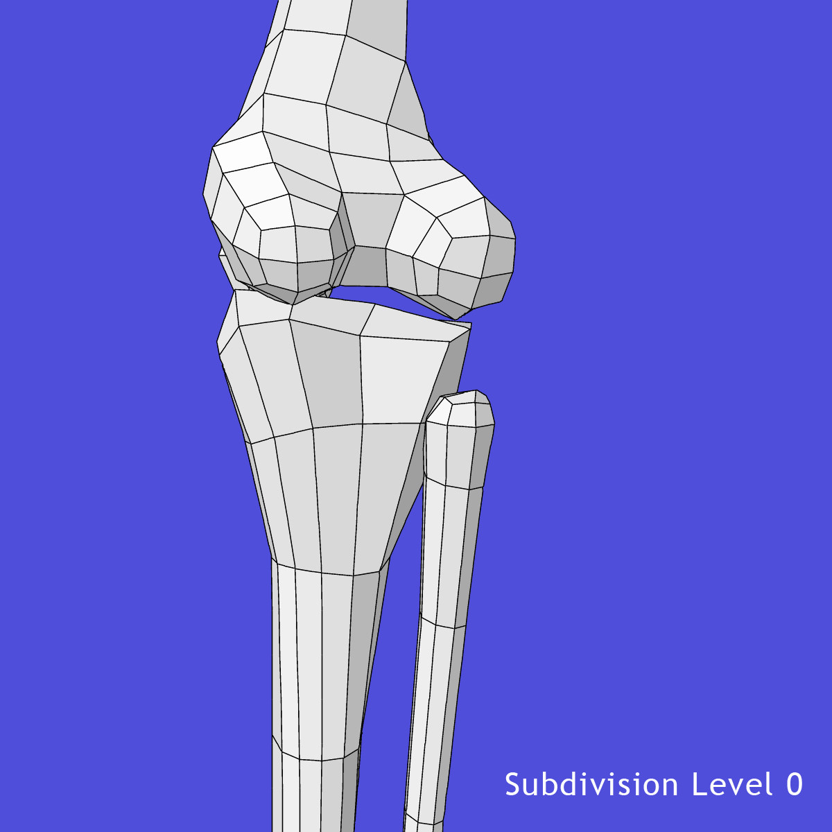 ArtStation - Maya Rigged Skeleton | Resources