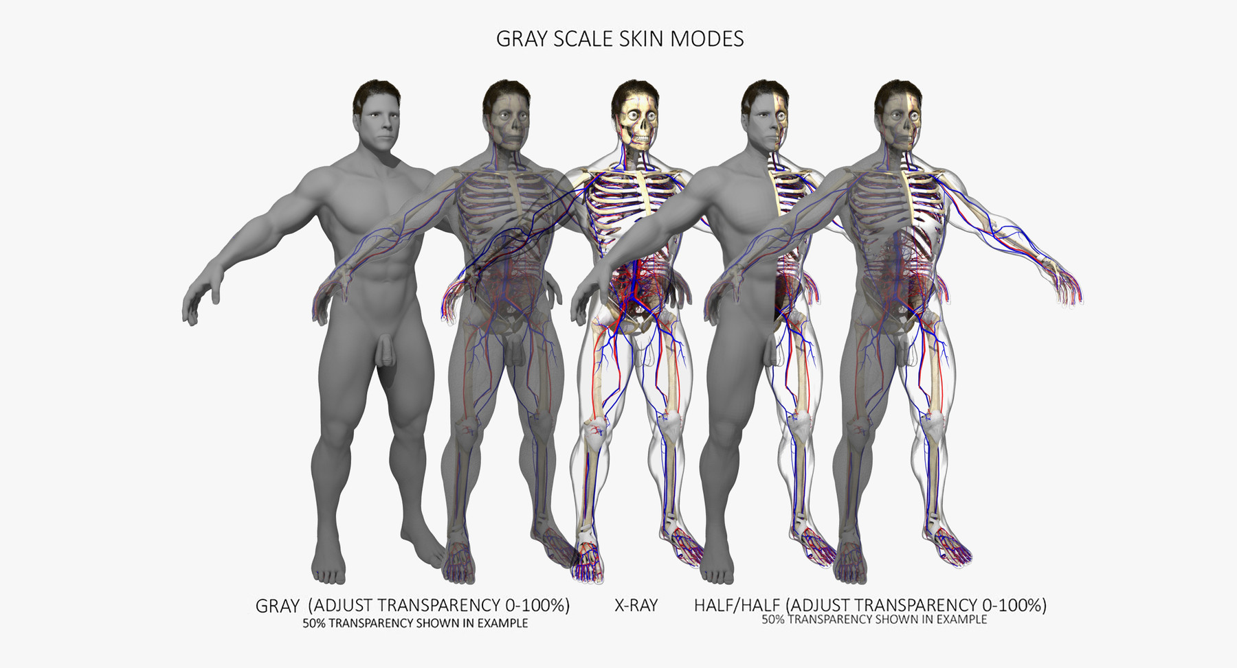 ArtStation - Motion Capture Male Anatomy | Resources