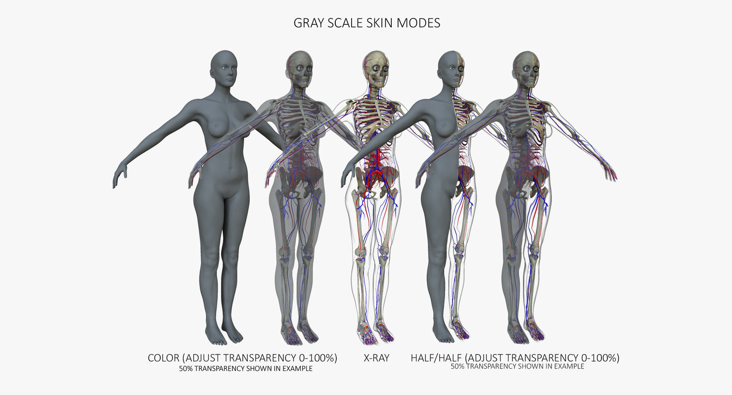 ArtStation - Motion Capture Female Anatomy | Resources