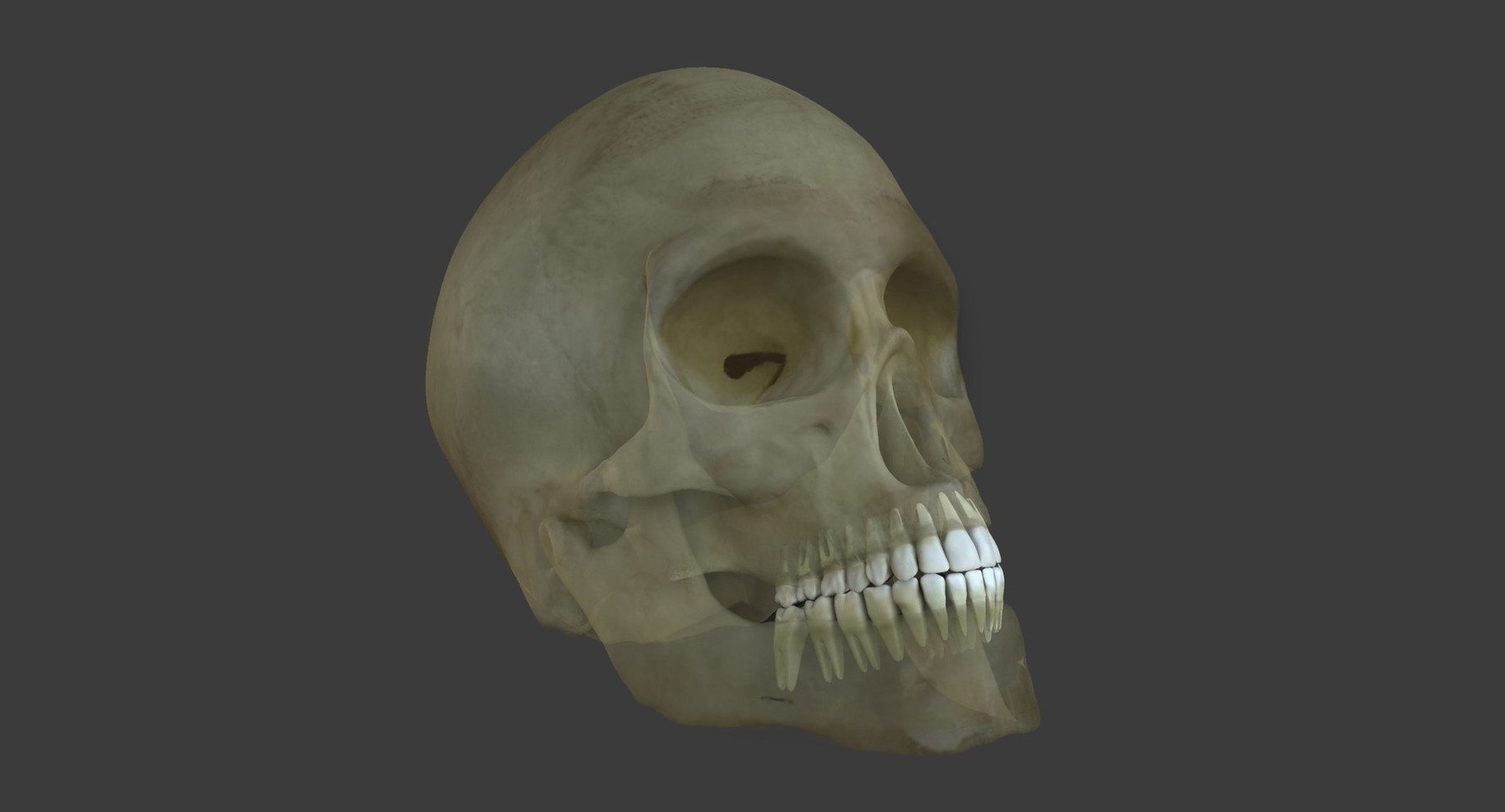 ArtStation - Motion Capture Female Anatomy | Resources