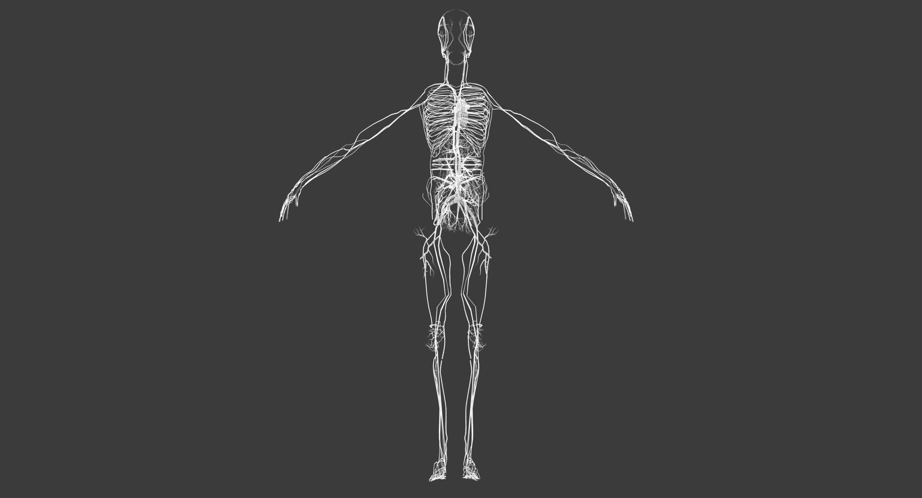 ArtStation - Motion Capture Female Anatomy | Resources