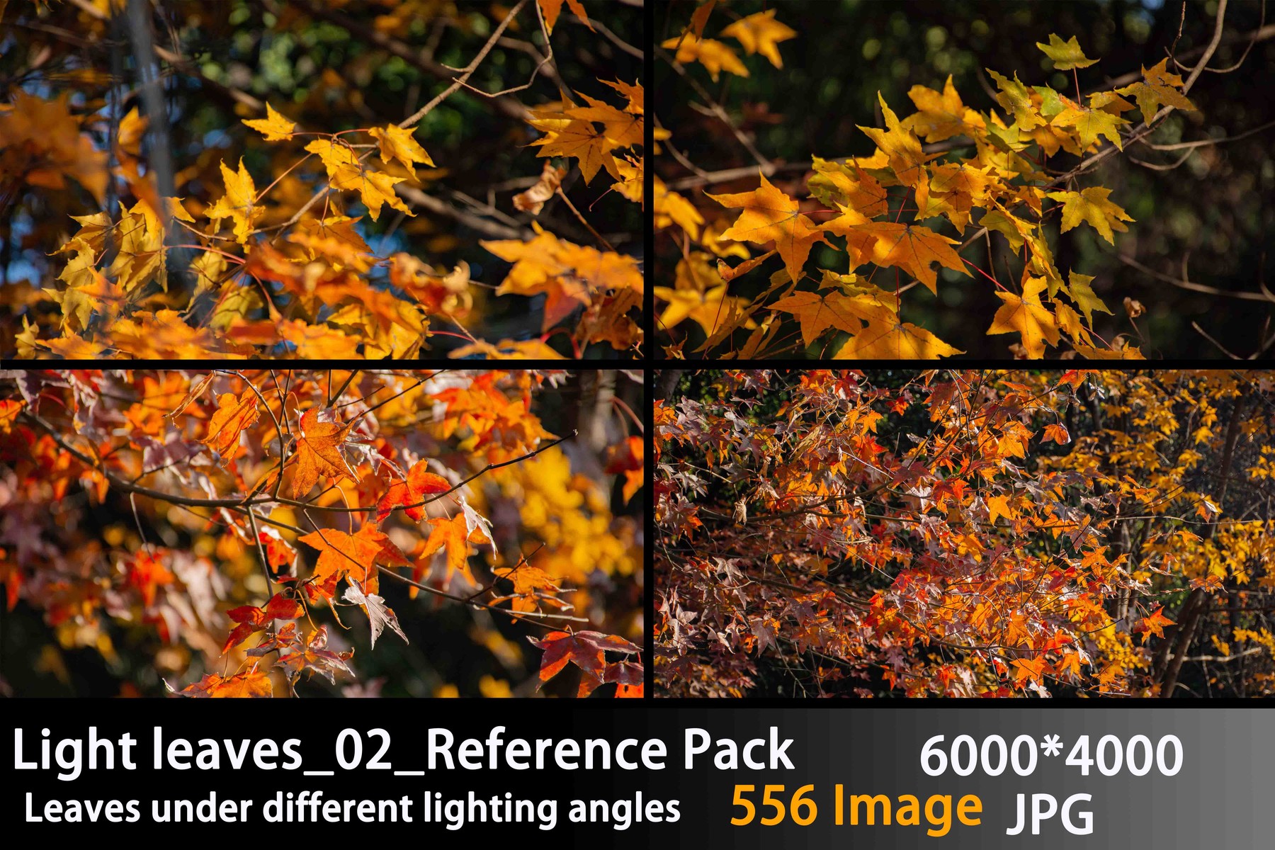 ArtStation - Light leaves_02_Reference Pack | Resources