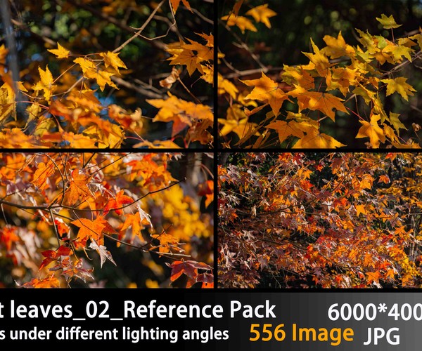 ArtStation - Light leaves_02_Reference Pack | Resources