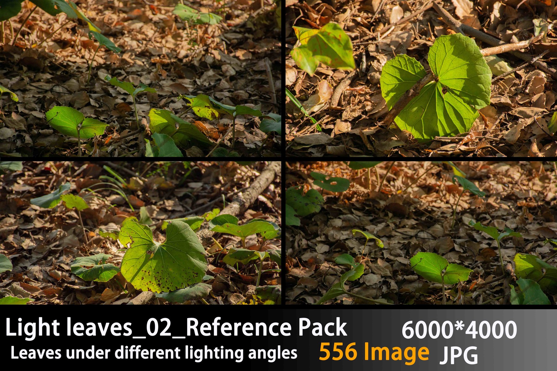 ArtStation - Light leaves_02_Reference Pack | Resources
