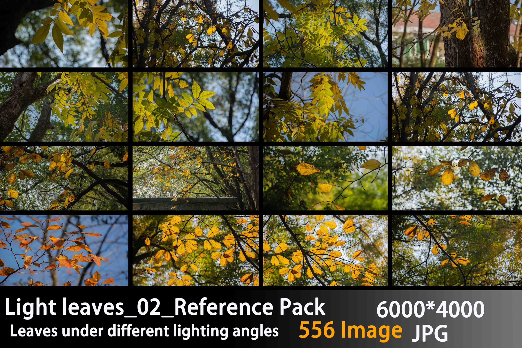 ArtStation - Light leaves_02_Reference Pack | Resources
