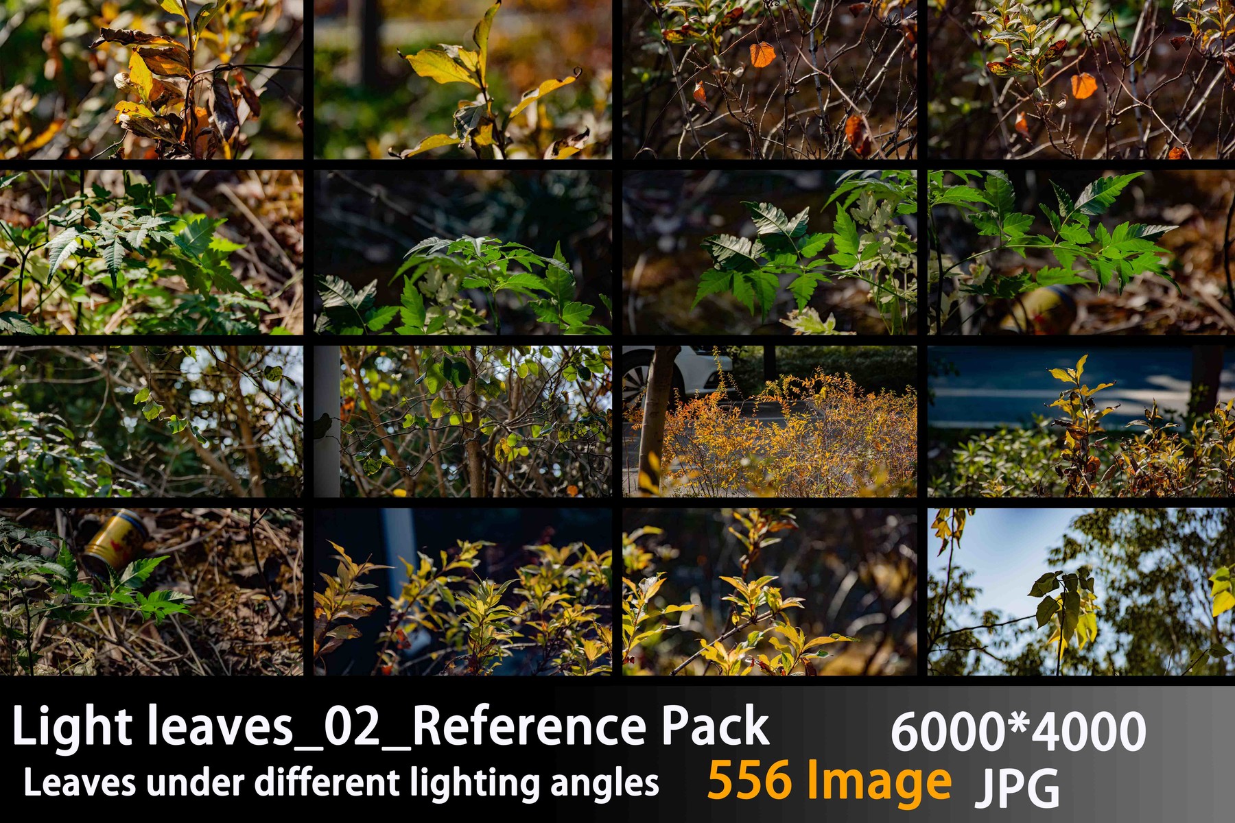 ArtStation - Light leaves_02_Reference Pack | Resources