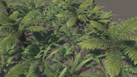 ArtStation - (Textures Only) The Fern Collection | Artworks