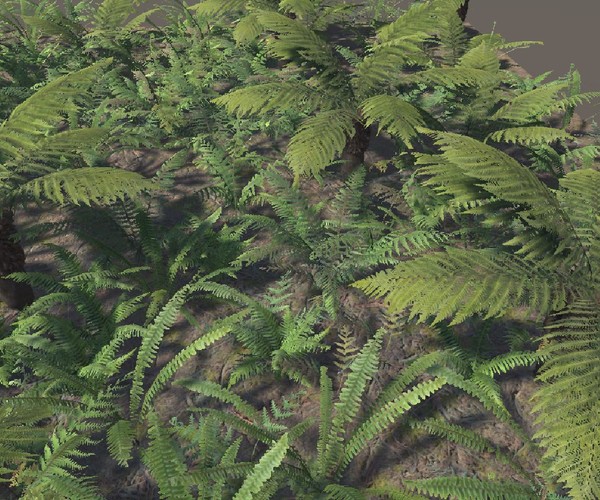 ArtStation - (Unity) The Fern Collection | Resources