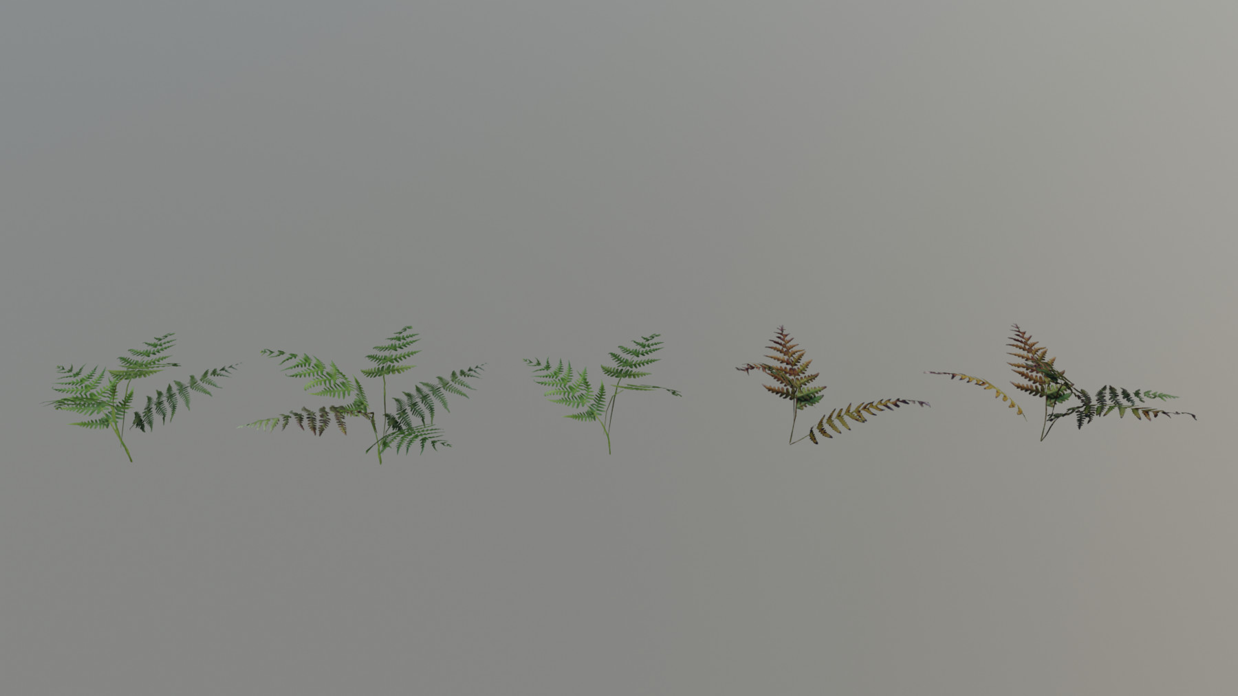 ArtStation - (Blender) The Fern Collection | Resources