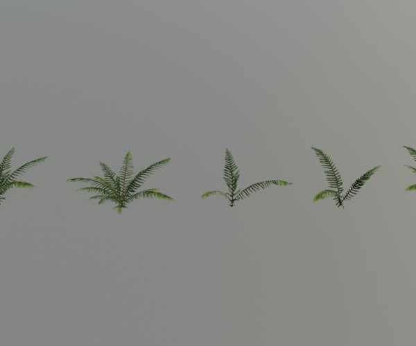 ArtStation - (Blender) The Fern Collection | Resources