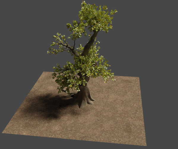 ArtStation - tree model with blender file and obj | Resources