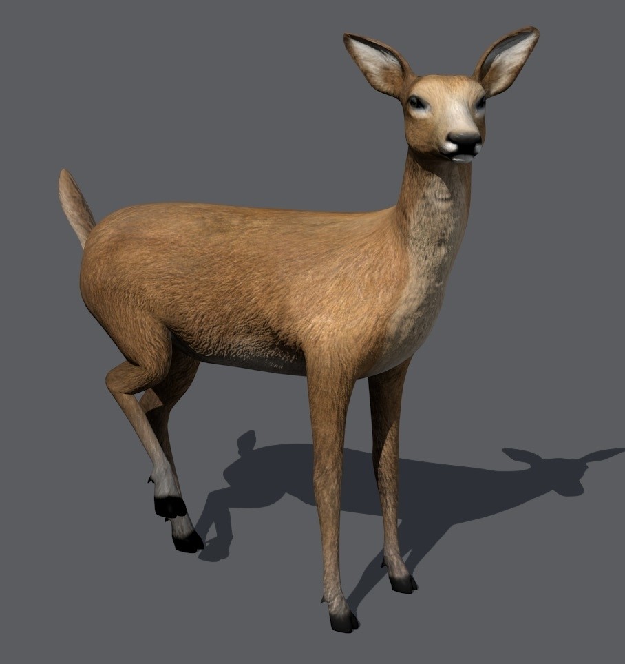ArtStation - Deer Modular Pack | Resources