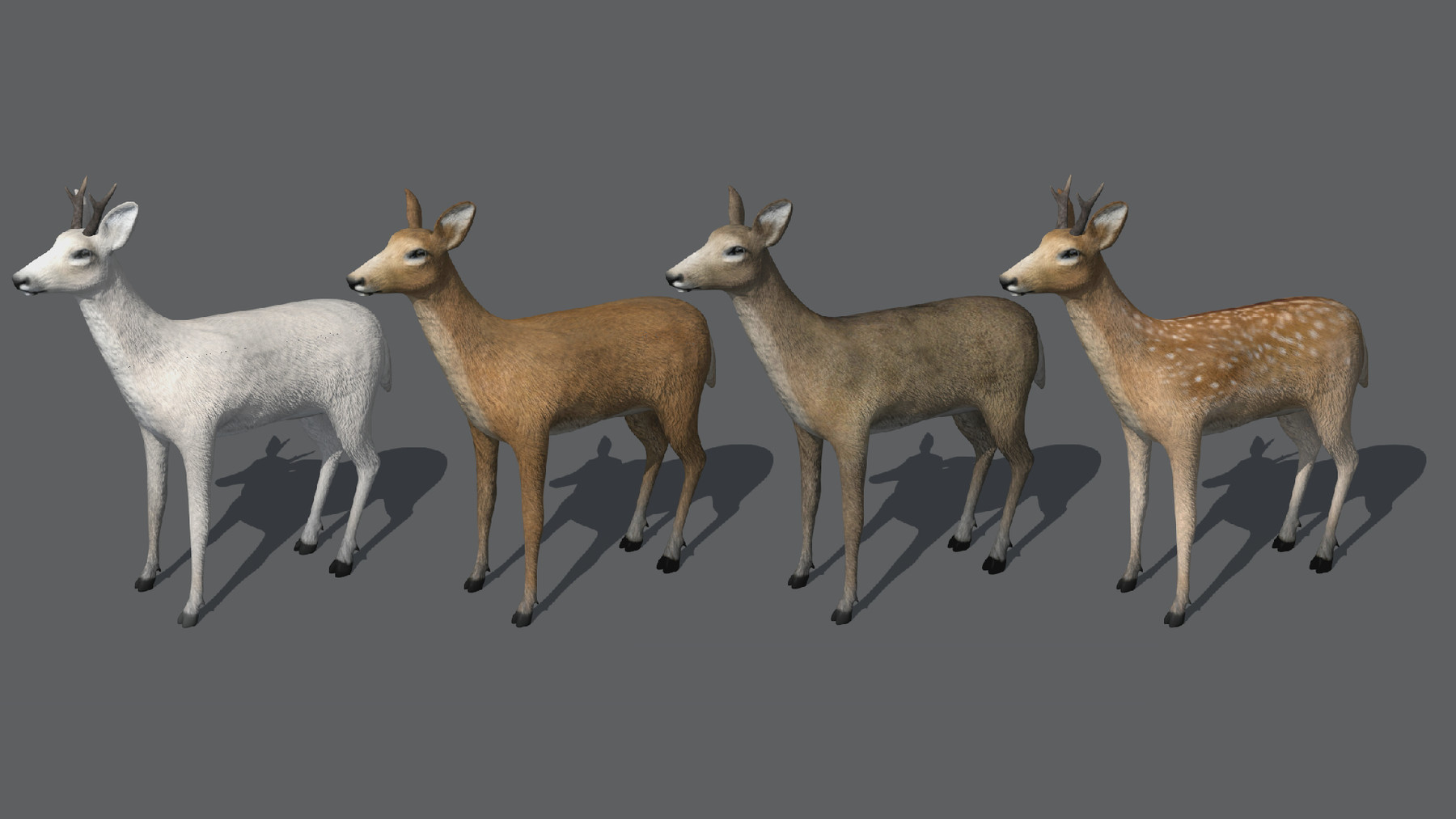 ArtStation - Deer Modular Pack | Resources