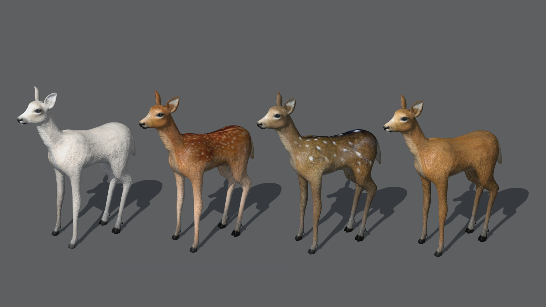 ArtStation - Deer Modular Pack | Resources