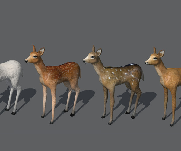 ArtStation - Deer Modular Pack | Resources