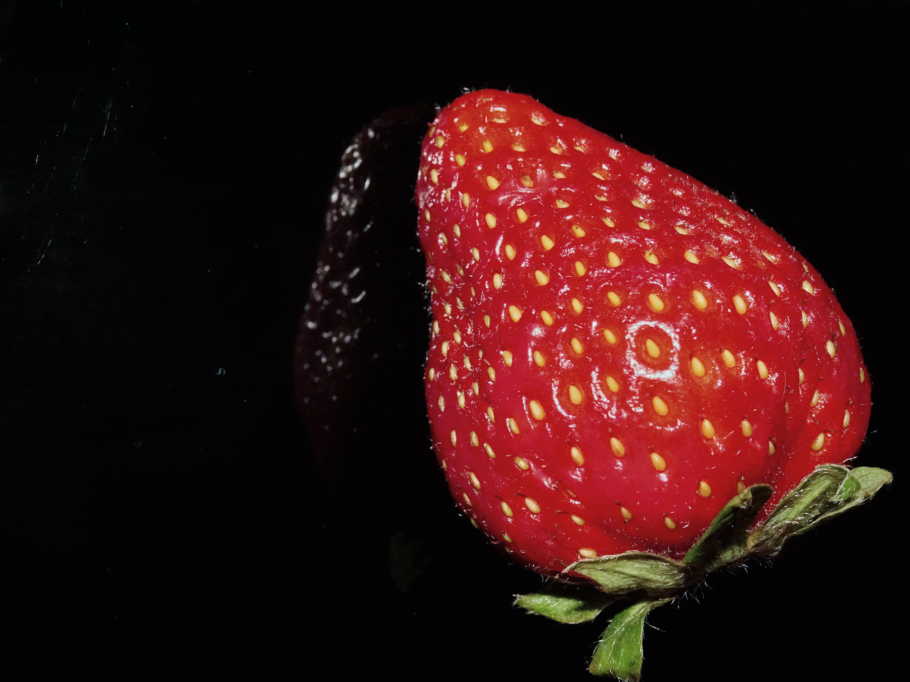 ArtStation - Nature Reference Pack | Resources