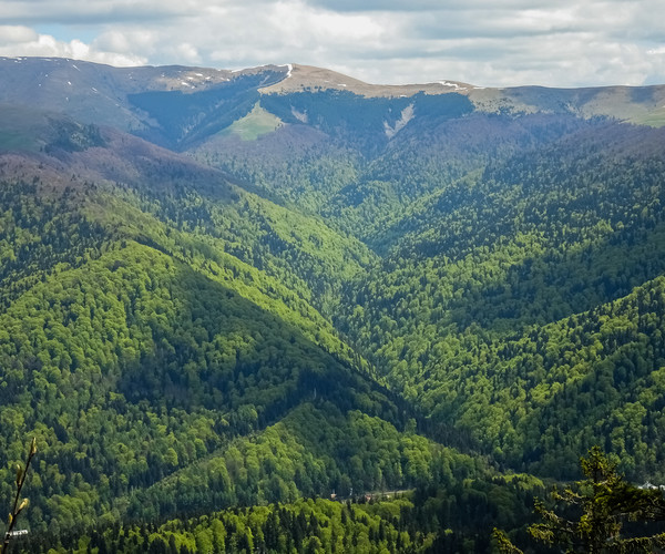 ArtStation - Nature Reference Pack | Resources