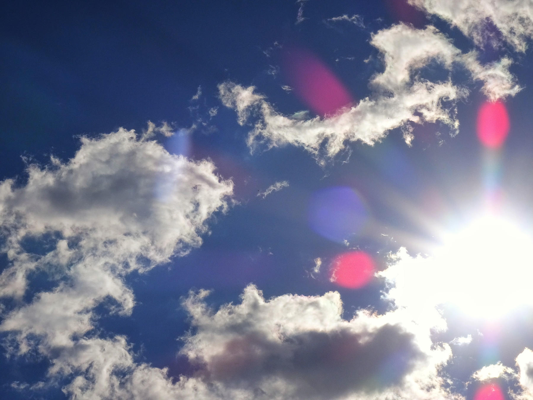 ArtStation - Nature Reference Pack | Resources