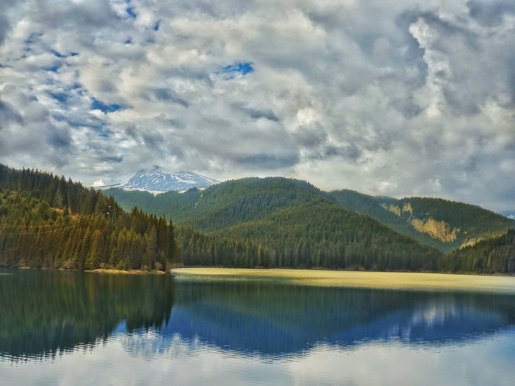 ArtStation - Nature Reference Pack | Resources