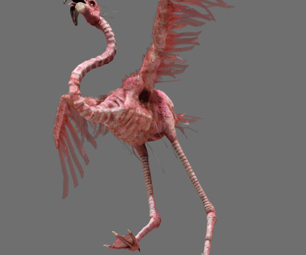 ArtStation - Flamingo Monster | Game Assets